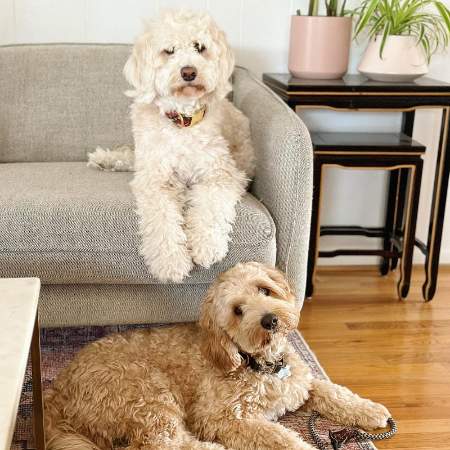 Things To Know About Shawn Ashmore Wife Dana Wasdin