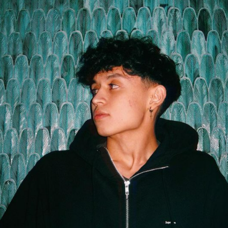 "Brandon Westenberg: Social Media Star, Influencer, and Rising Music ...