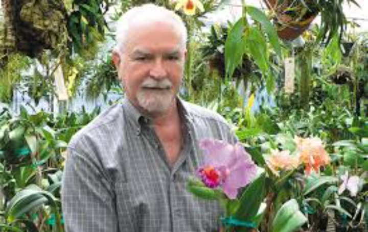 Robert Benevides: Legacy, Net Worth, and Impact on Television and Vineyards